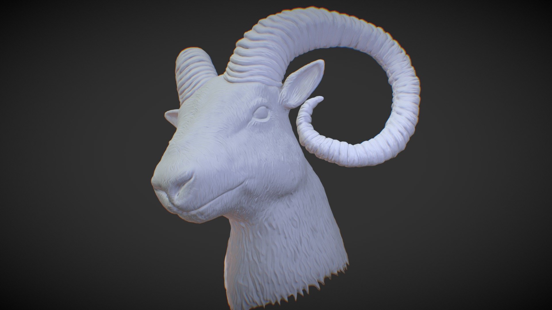 Muflon - Download Free 3D model by andrzejBG [2f31db3] - Sketchfab