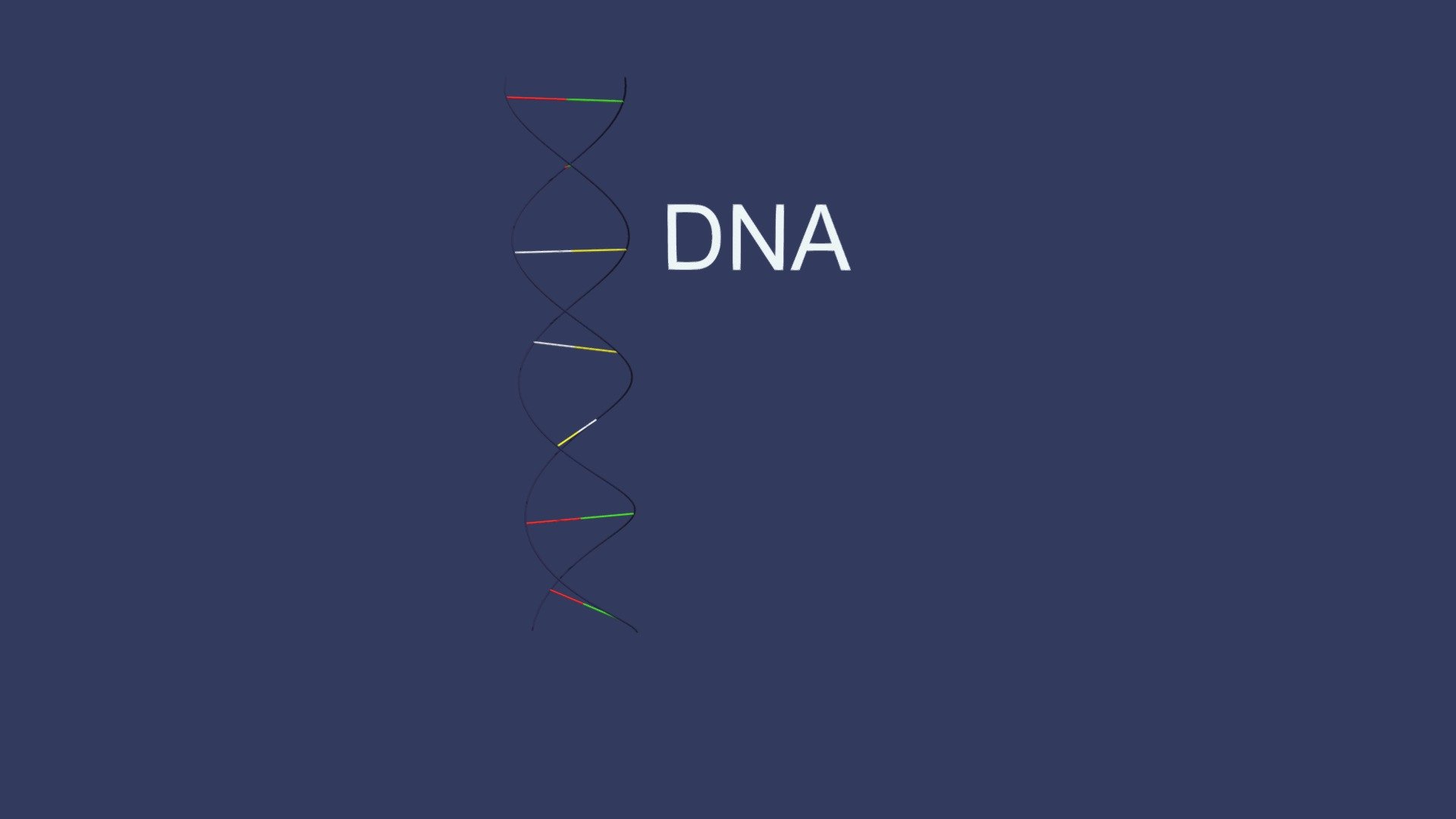 Transcrição RNA na Produção de Proteínas (751) - 3D model by RA ...