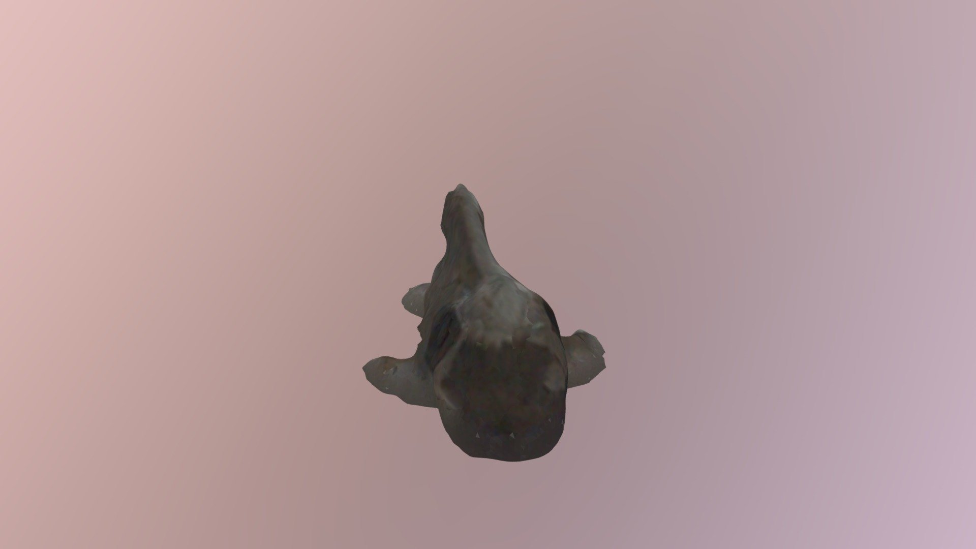 Sviňucha kalifornská - Download Free 3D model by Práce pro budoucnost ...