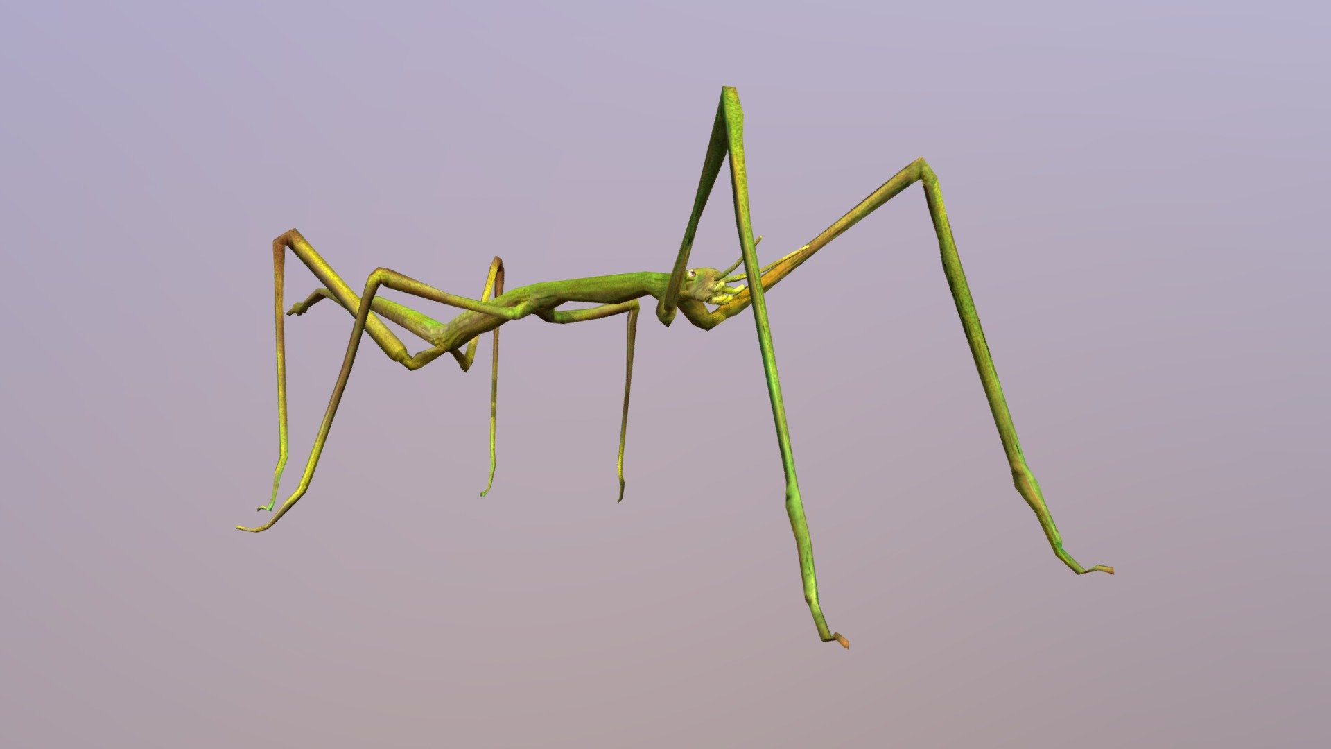 Stick Insect - Buy Royalty Free 3D model by 3dlowpoly [2f43c82 ...