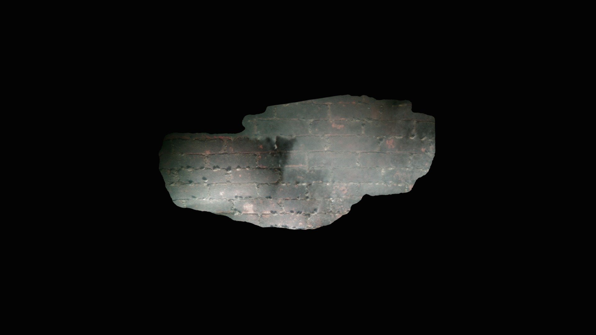 Zebra mussels on brick wall - Large section - 3D model by Blueye ...
