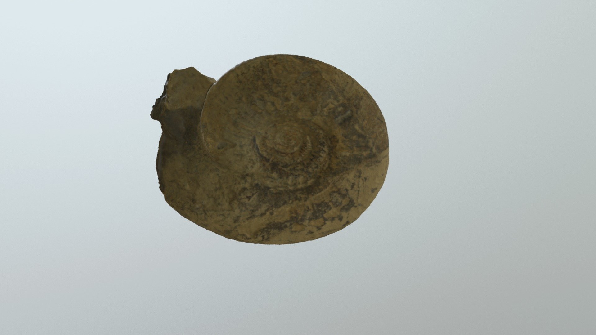 N2 - 3D model by sincenature [2f5070a] - Sketchfab