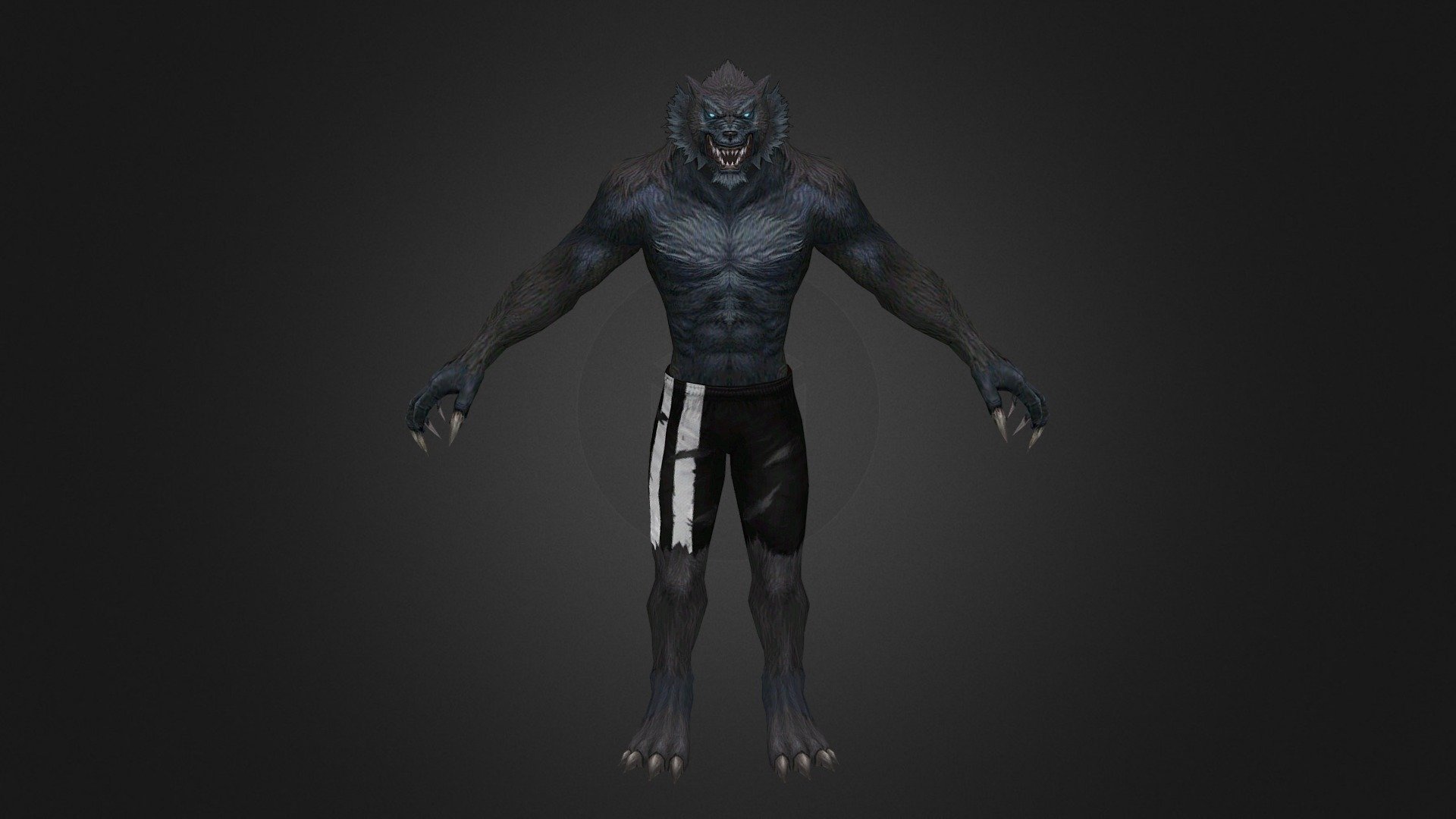 Christopher Wolf Sc - 3D model by Dimac [2f59d19] - Sketchfab