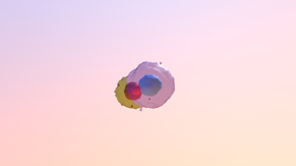 Immunity - A 3D model collection by supasalamisami - Sketchfab