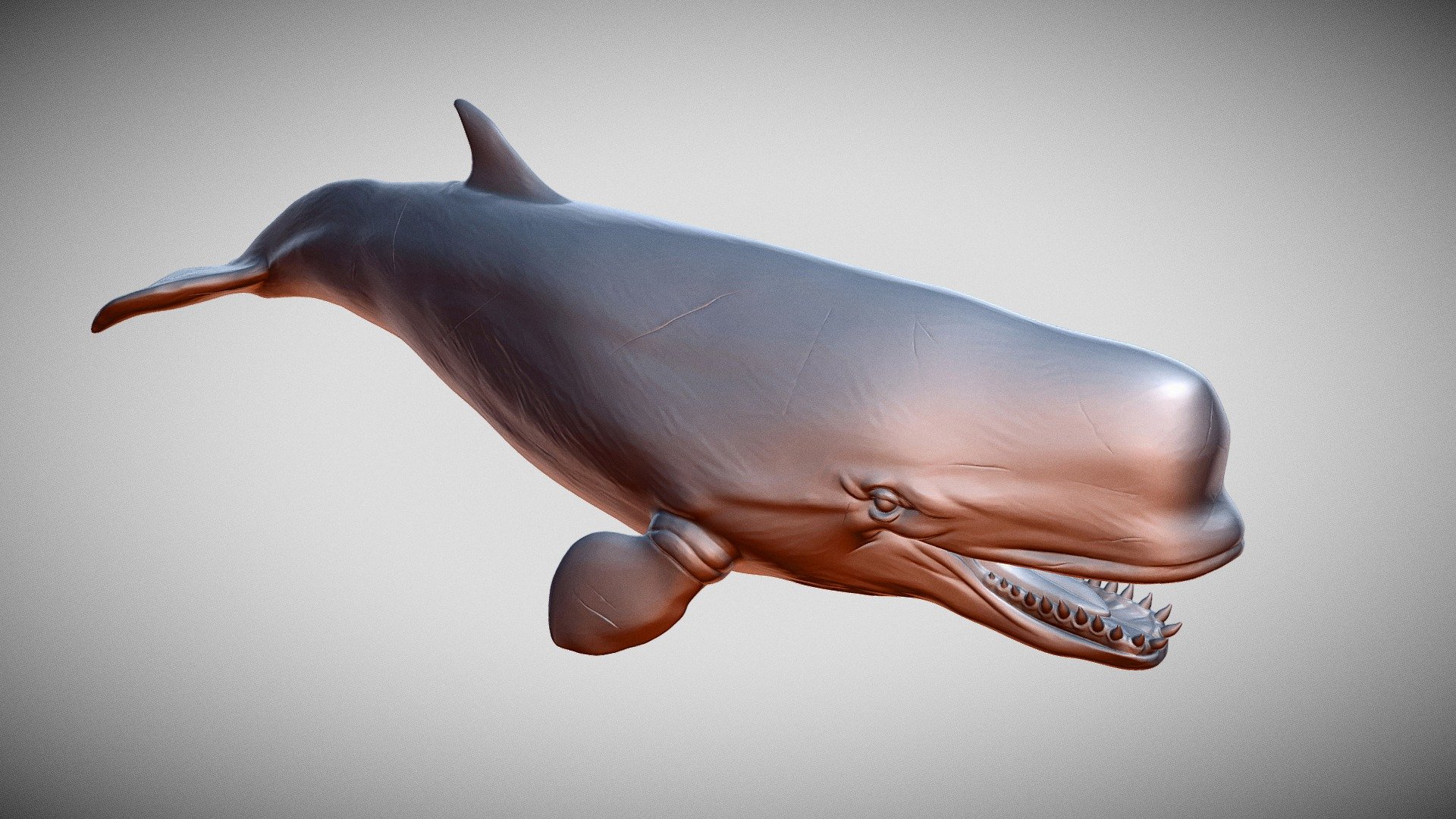 Livyatan melvillei - 3D model by ARAY studio (@xto15) [2f60b7f] - Sketchfab