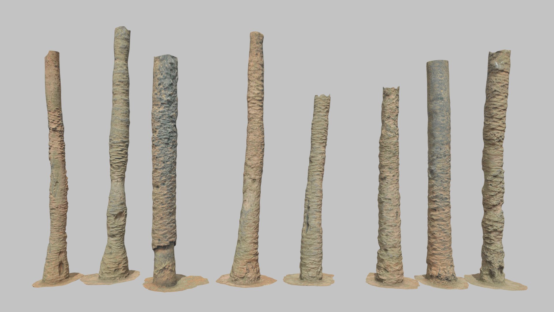 PBR Palm Tree Collection Scan Pack - Buy Royalty Free 3D model by Per's ...
