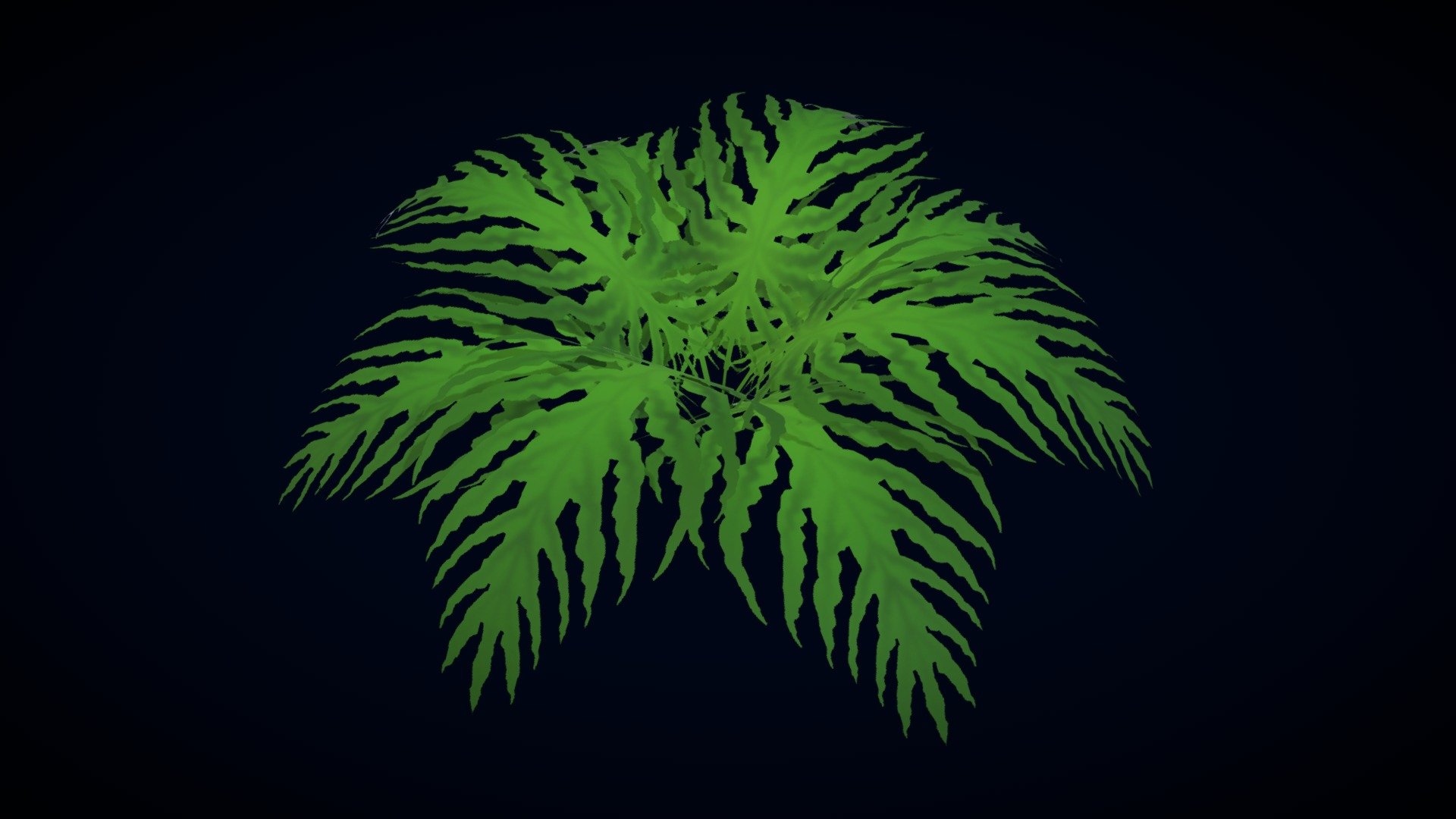 Stylized Fern Plant - 3D model by Keyotine [2f6b925] - Sketchfab