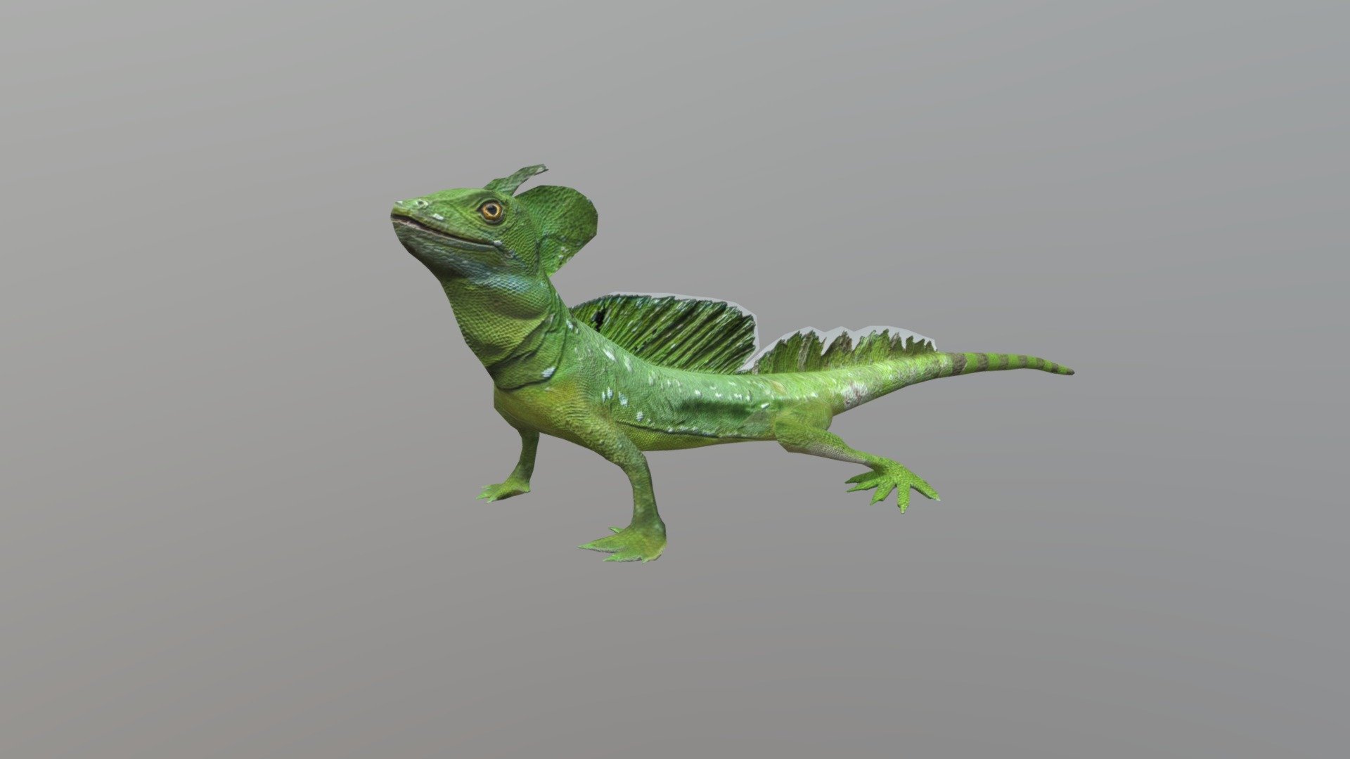 Common Basilisk - Buy Royalty Free 3D model by 3dlowpoly [2f88f40 ...