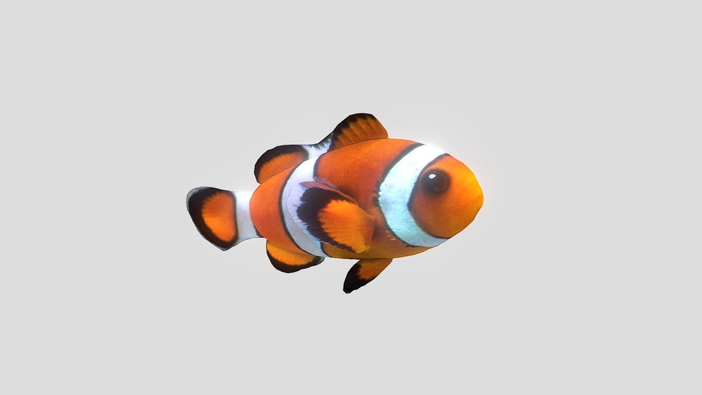 sea - A 3D model collection by irvinlin - Sketchfab