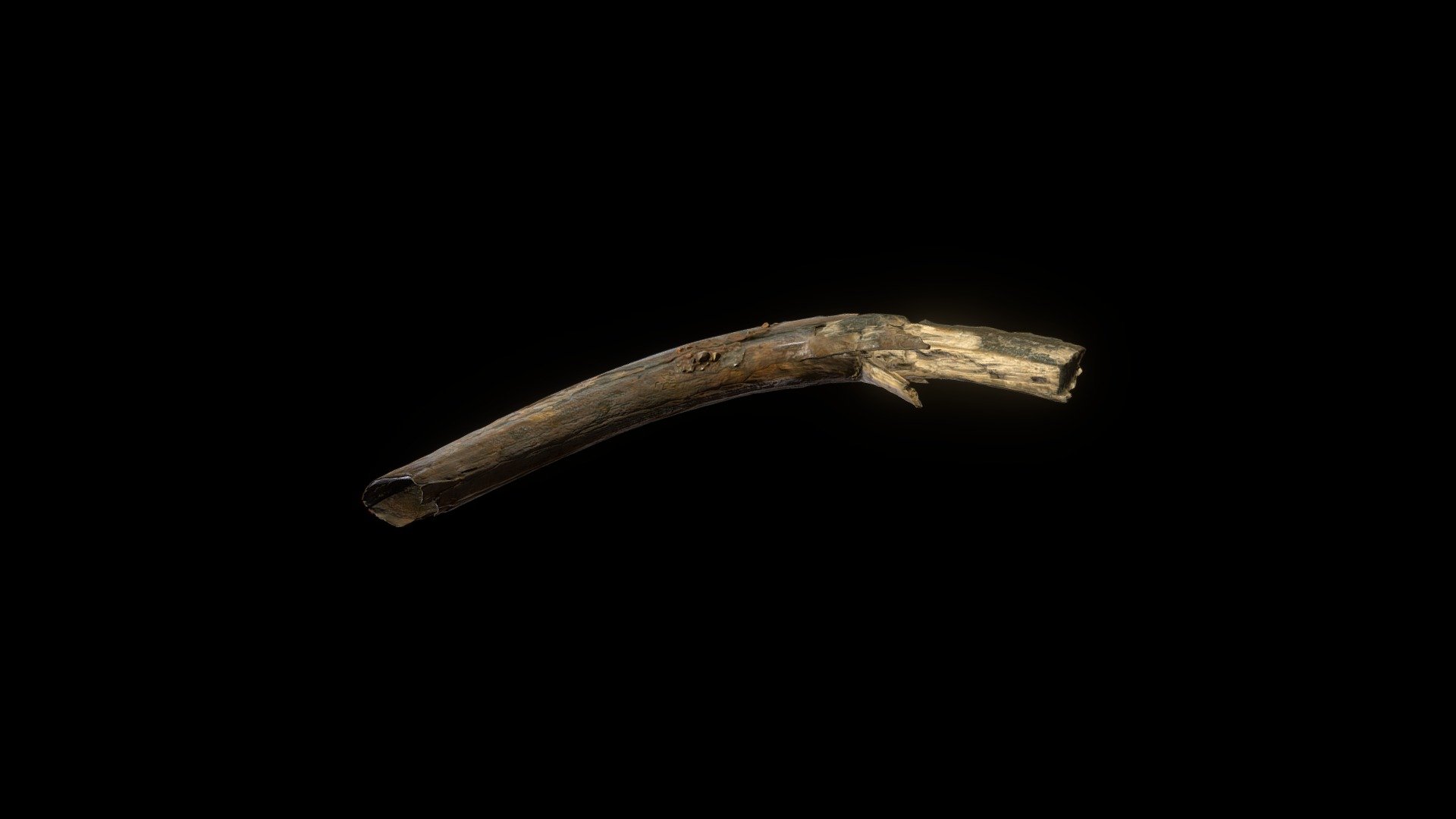 Tusk2 - 3D model by MXTreality (@mypad3d) [2f9ce24] - Sketchfab