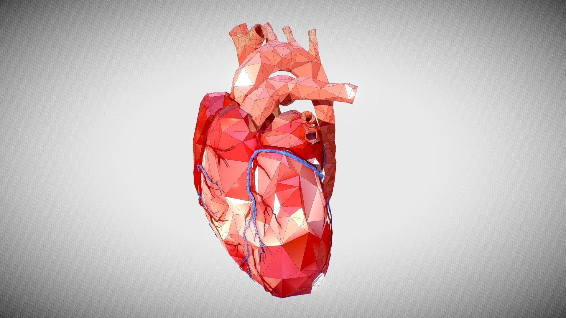 Human heart low poly - Buy Royalty Free 3D model by omg3d [2f9da7b ...