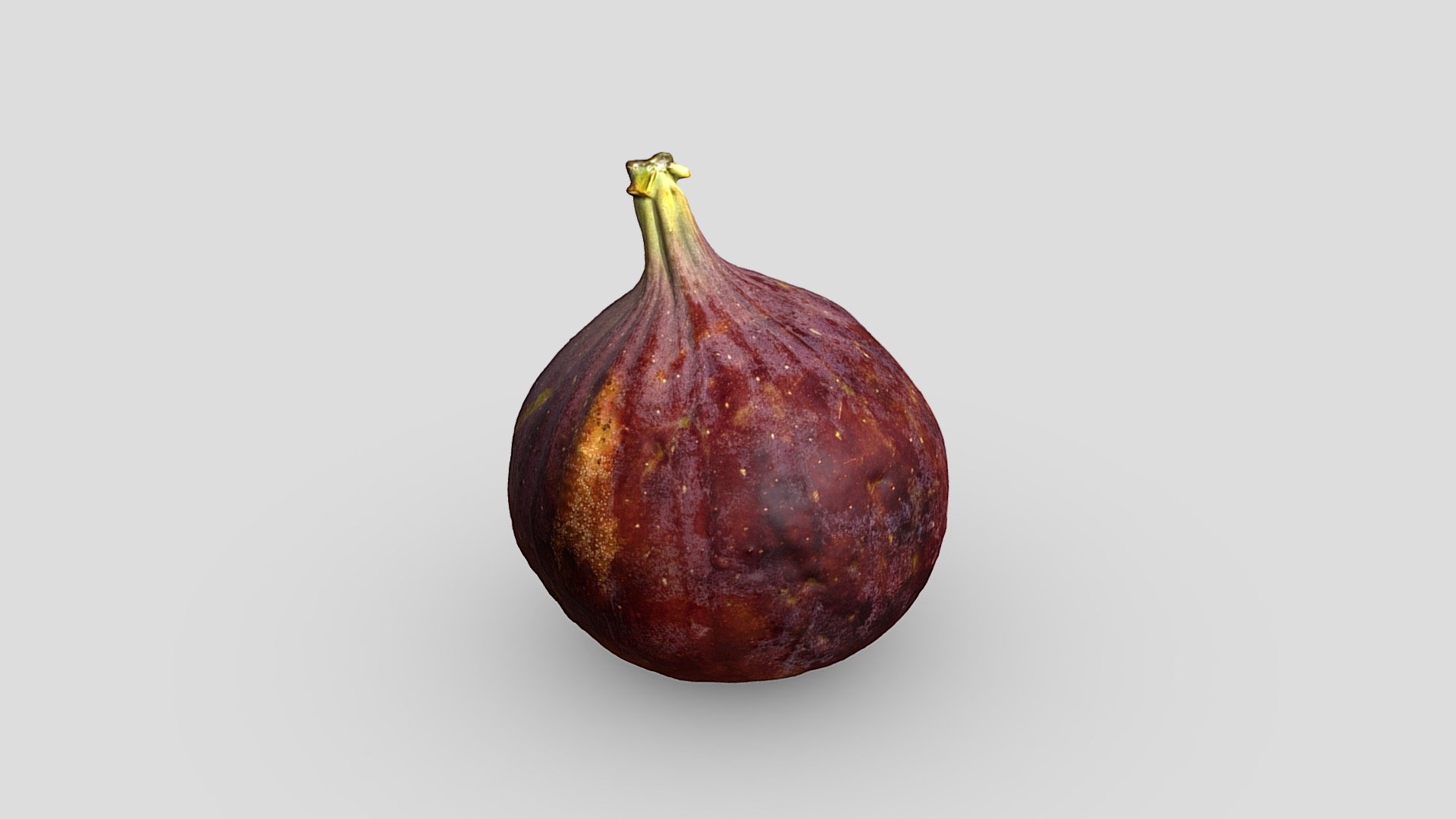 Fig Scan 4K - Buy Royalty Free 3D model by 3DHelga [2f9fd2a ...