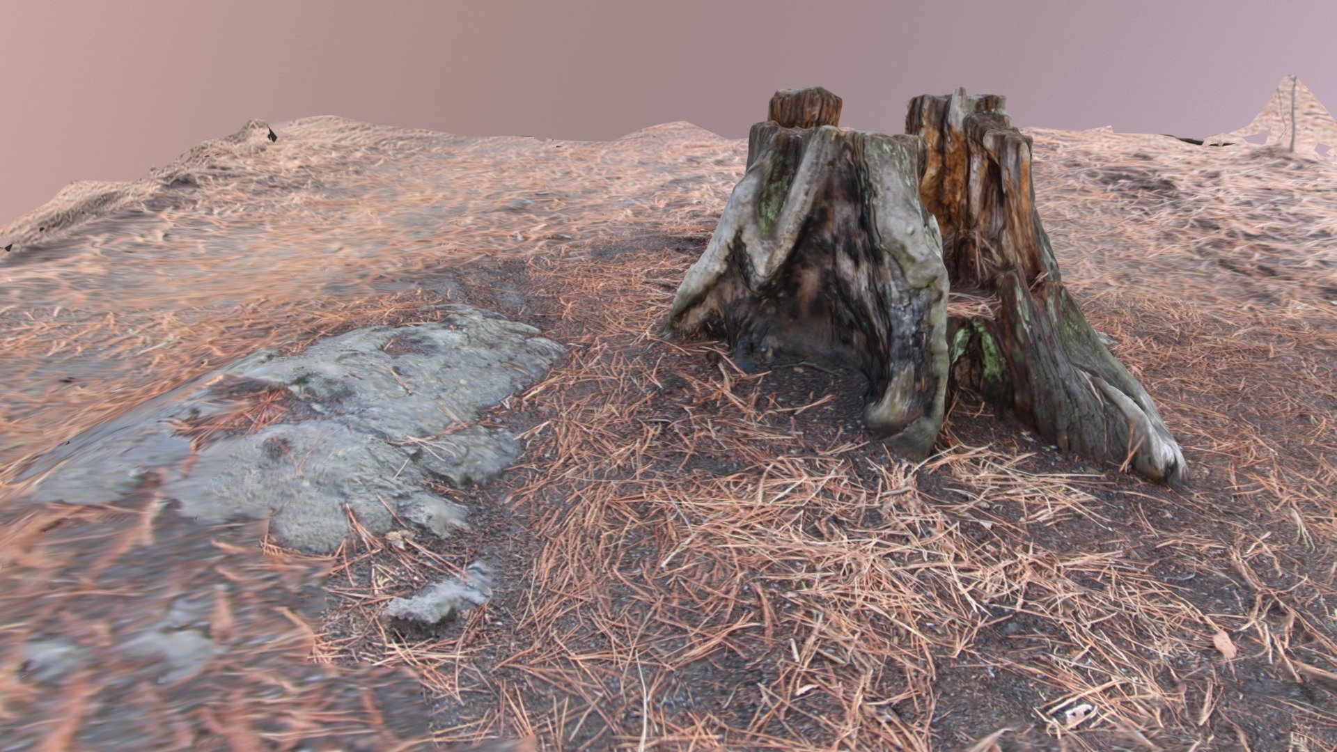First test with 3DF Zephyr Free - 3D model by goochvision [2fa0867 ...