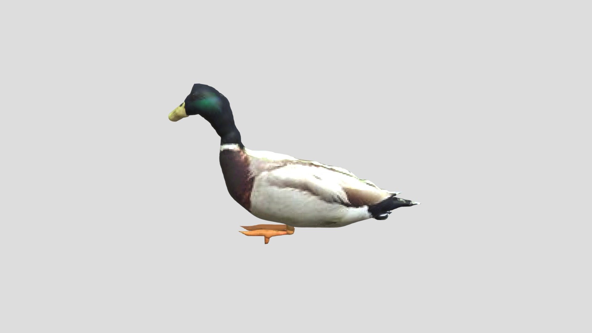 Bebek 3D - 3D model by zakiahulfiah [2fa45ff] - Sketchfab