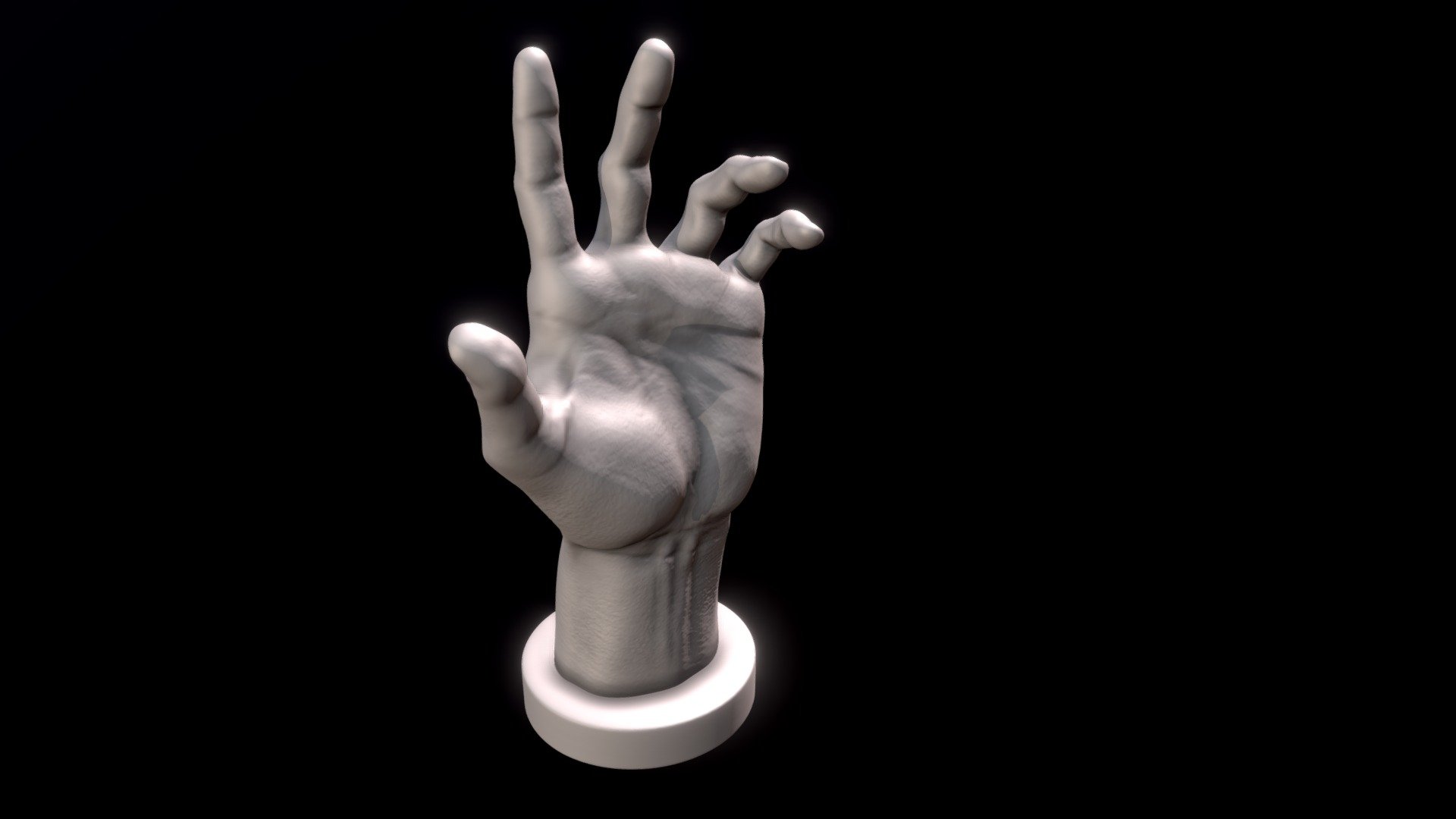 ANATOMICAL REFERENCE - HAND - Buy Royalty Free 3D model by Alejandro ...