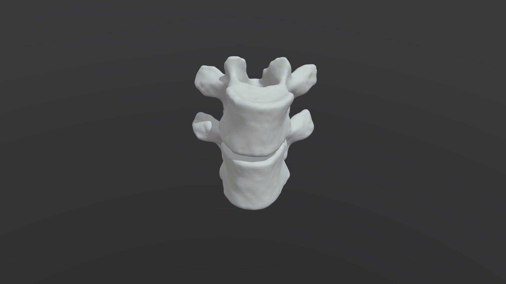 T6/T7 Vertebrae Thoracic Spine - 3D model by mihalkov3danatomy ...