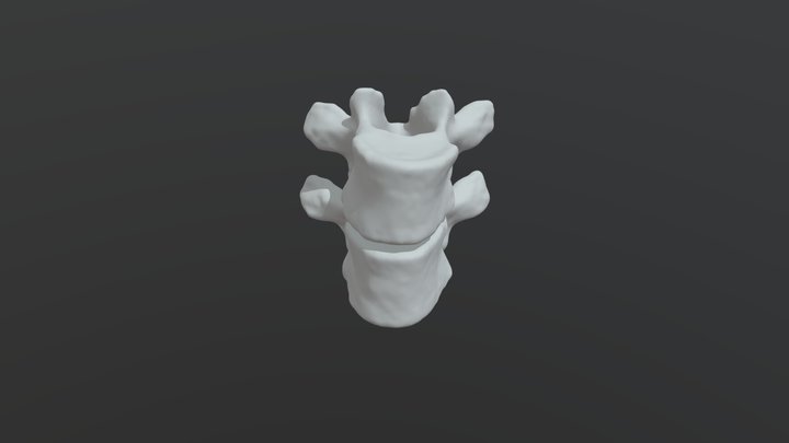 Cervical-vertebrae 3D models - Sketchfab