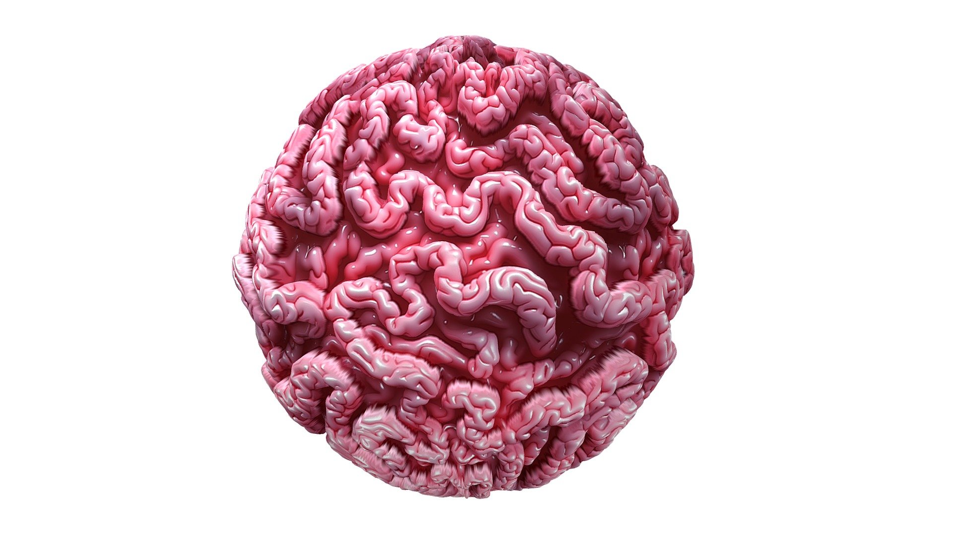 Anatomy Seamless Texture - Buy Royalty Free 3D model by zames1992 [2faedb6] - Sketchfab Store