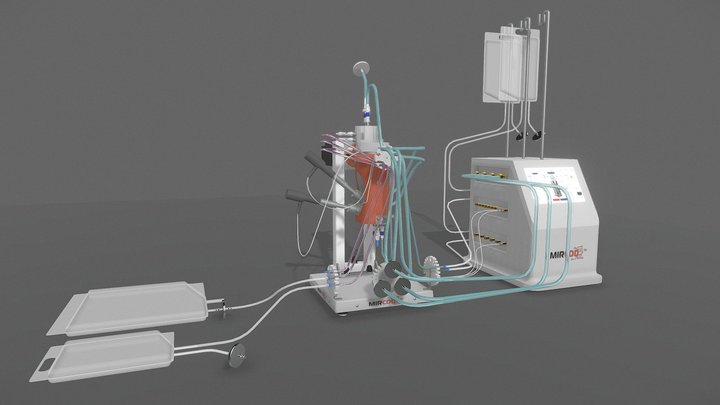 T-cell 3D models - Sketchfab
