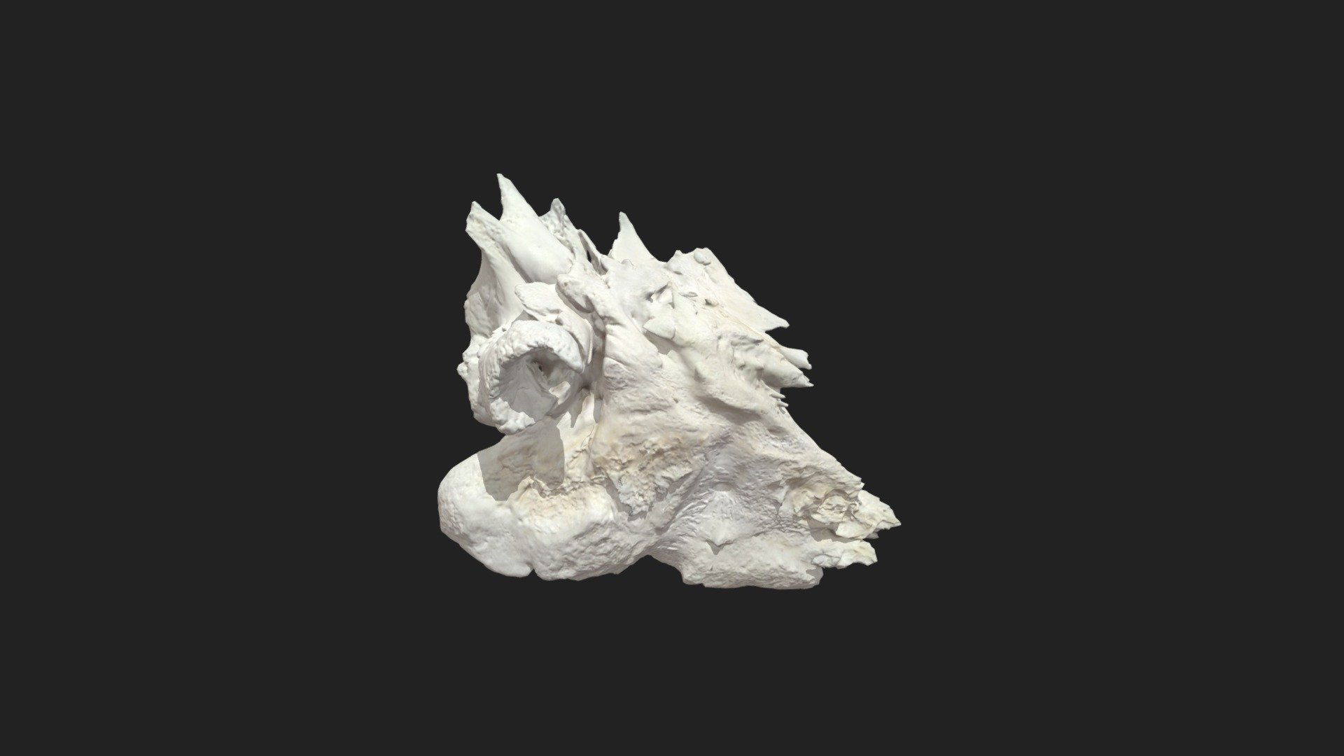 petrous part of the temporal bone horse - 3D model by vetanatMunich ...