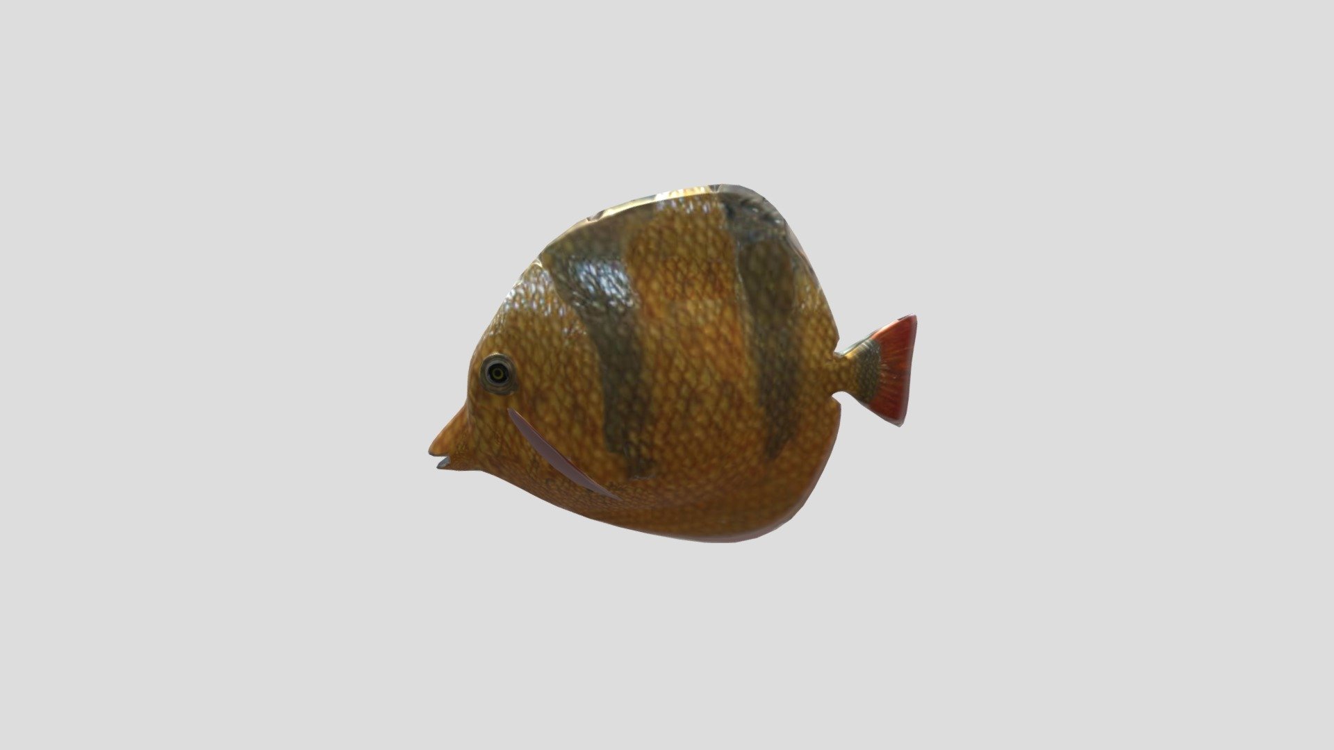 EthanFish - 3D model by Zepher06 [2fc05ca] - Sketchfab