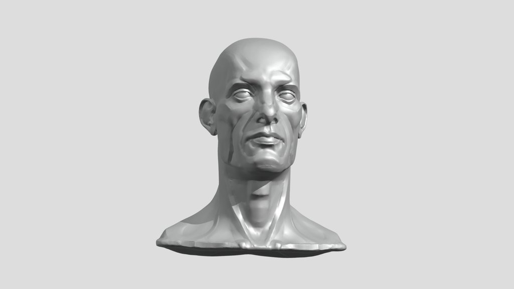 Head anatomy and construction - A 3D model collection by unsungzero ...