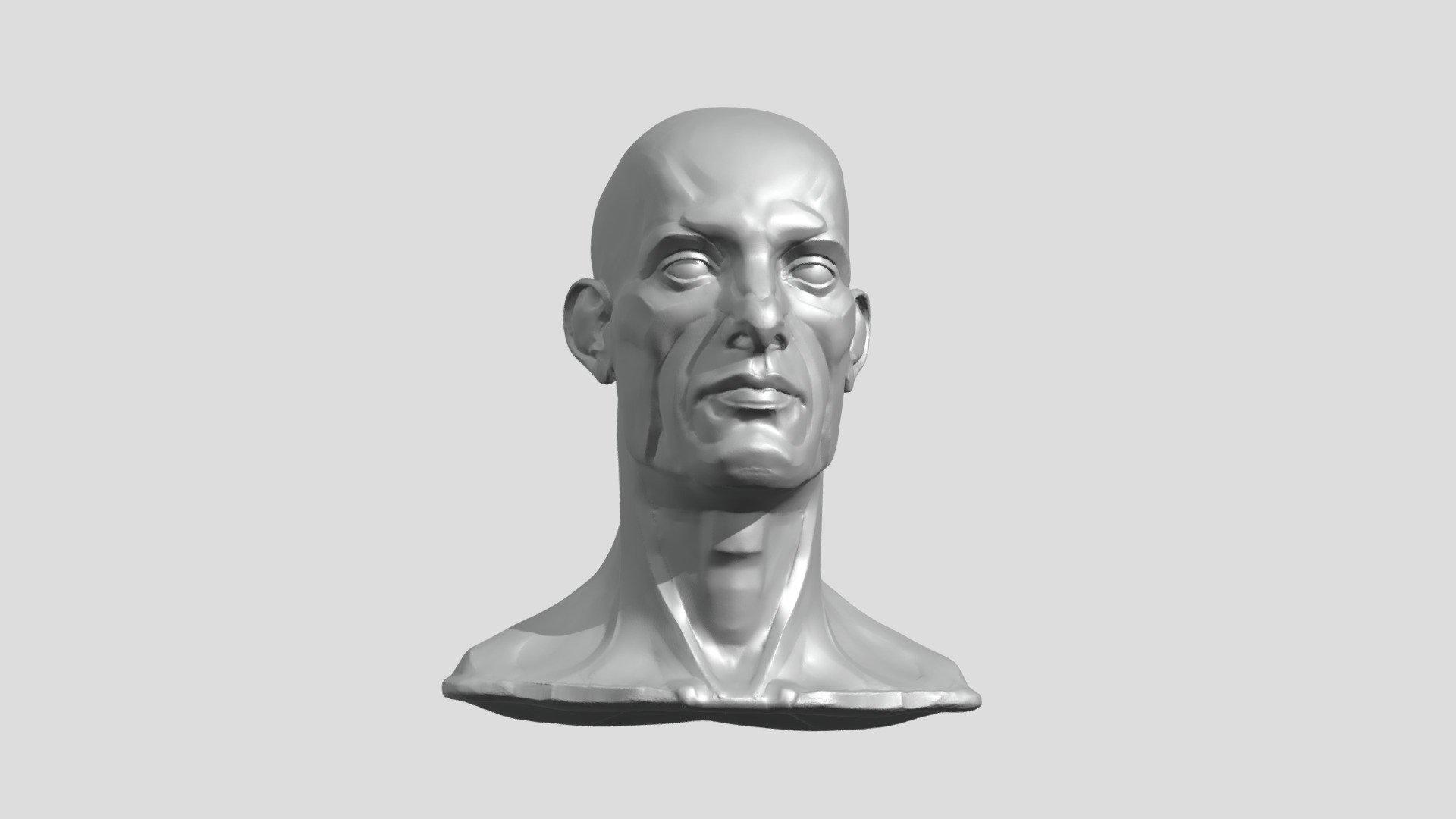 Planes of the head 6 - 3D model by jaggedcakeslicer [2fc0e35] - Sketchfab