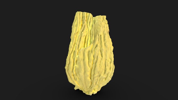 Stalactite 3D models - Sketchfab