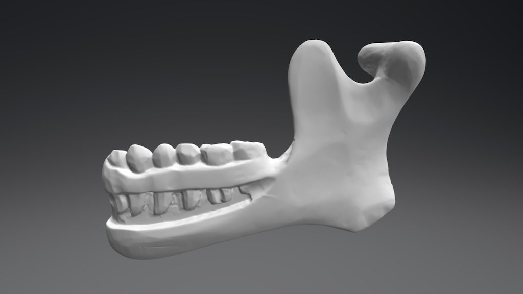 Simplified model of half human mandible - 3D model by threeding.com ...