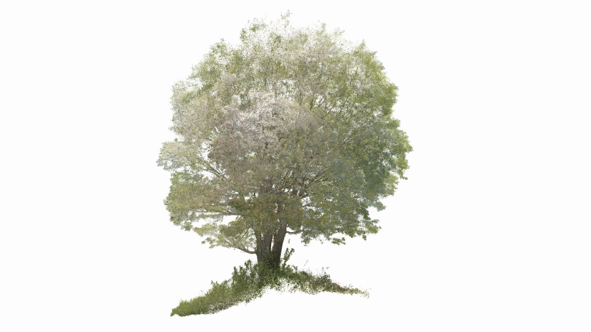 CloudTree - 3D model by AlessioBortotCloud (@alessio_bortot) [2fcc2cc ...