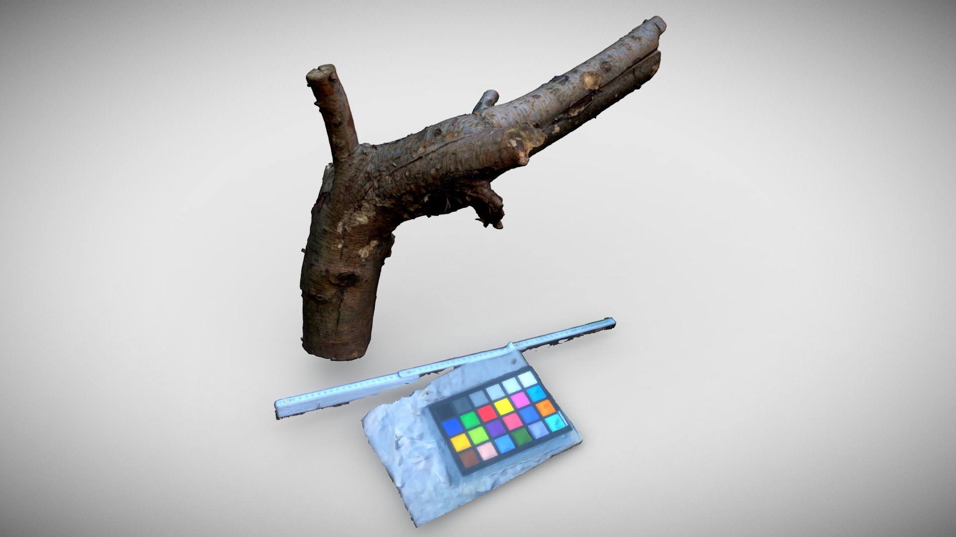 Tree branch - Buy Royalty Free 3D model by GM3Dscan [2fd513c ...