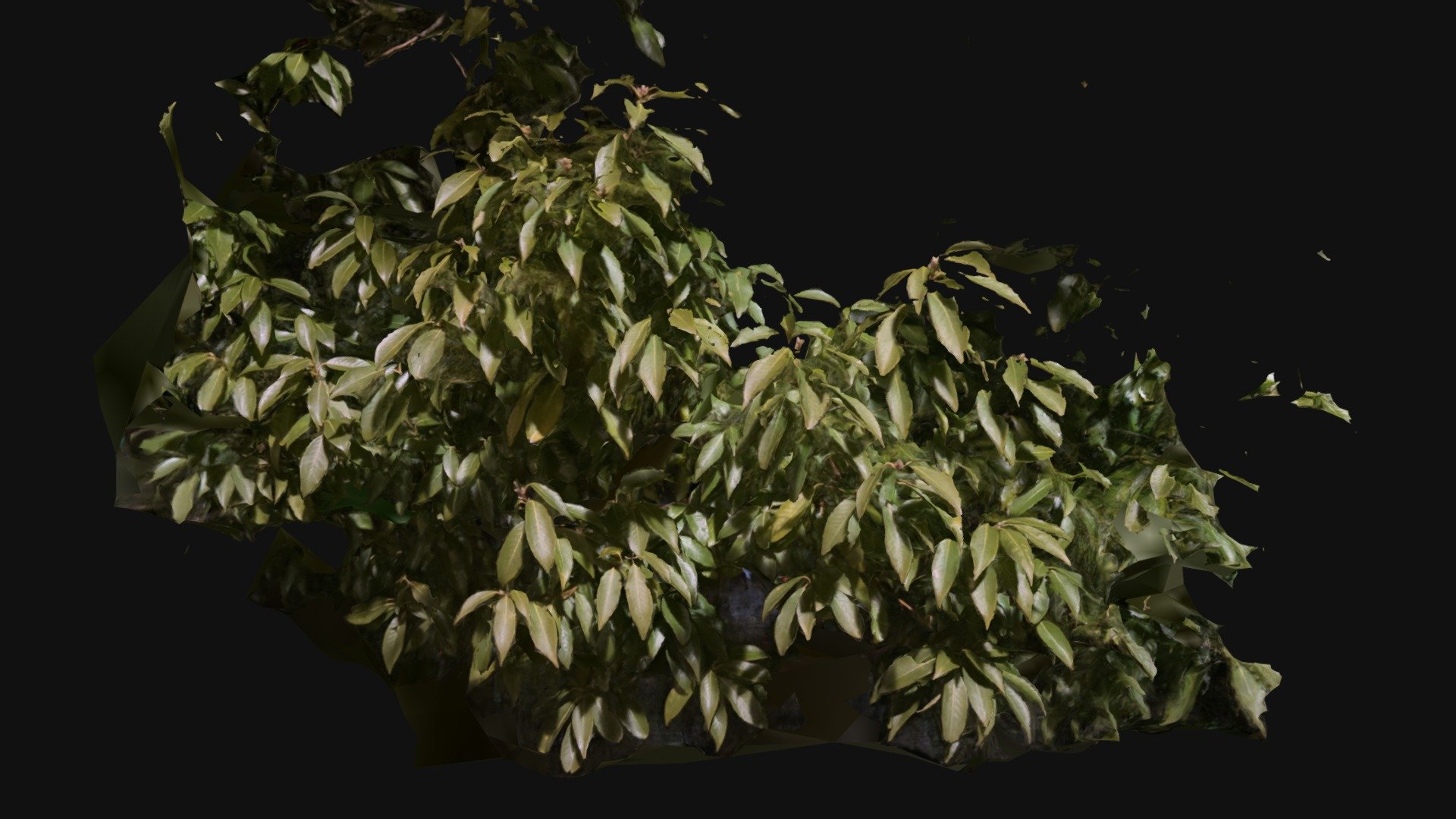 Tree Branches and Leaves - Download Free 3D model by manosu08 [2fe3481 ...