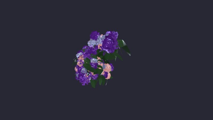 Hydrangea 3D models - Sketchfab