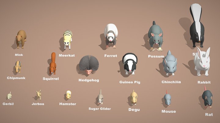 Rat 3D models - Sketchfab