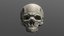 Skullette the skull - Download Free 3D model by Allex_Spark [2ff82c6 ...