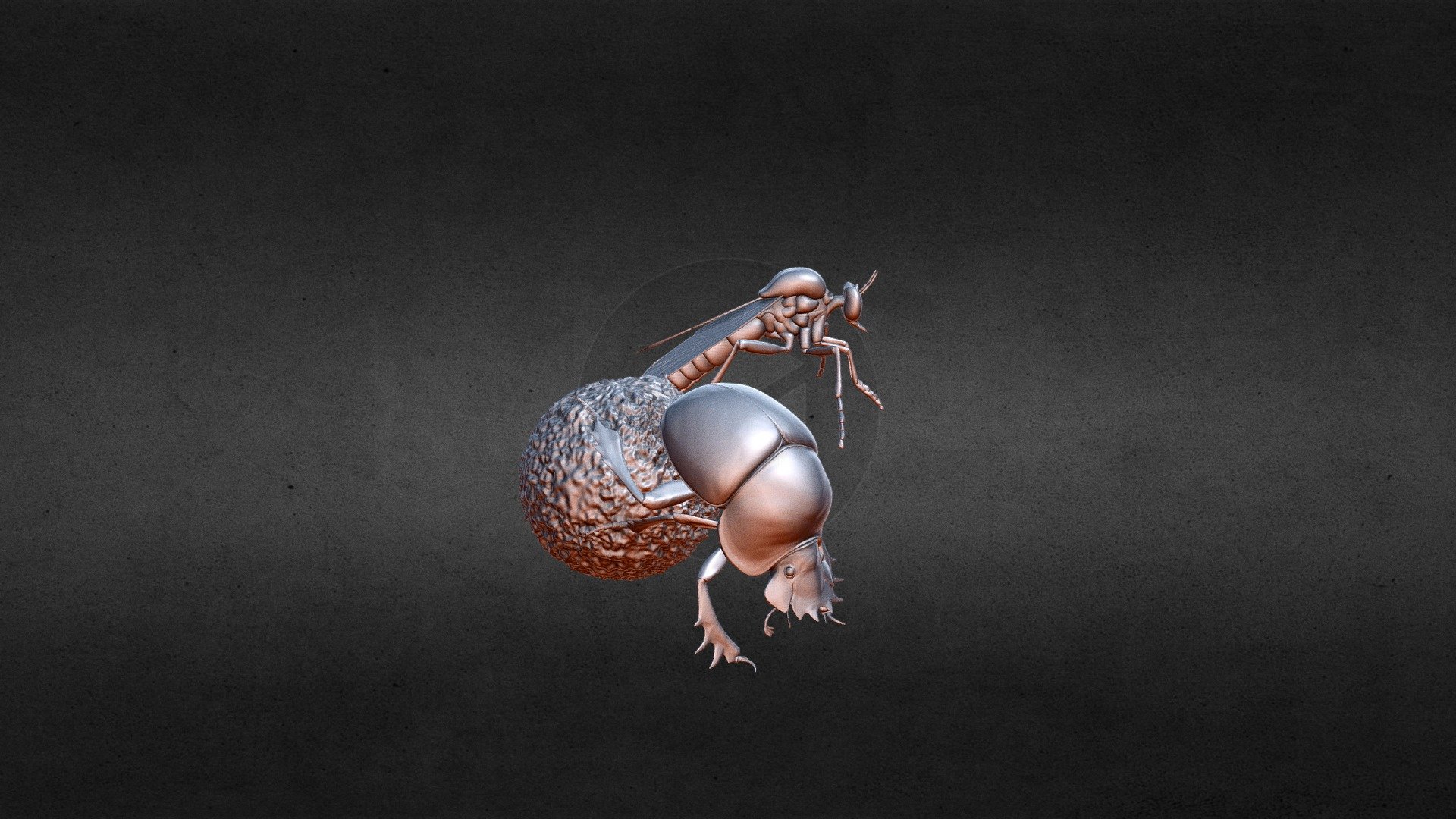 My Sketchfab Mesh - 3D model by ACI (@jlscor) [2ffc51f] - Sketchfab