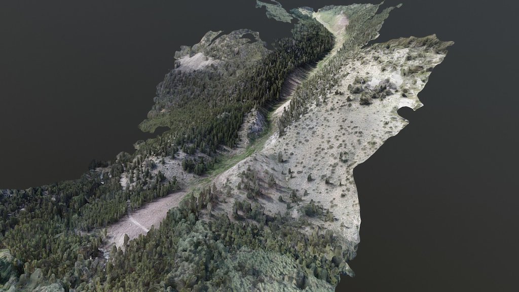 Avalanche Remains - 3D model by ODIN AERIAL (@guderian4) [2ffd4eb ...
