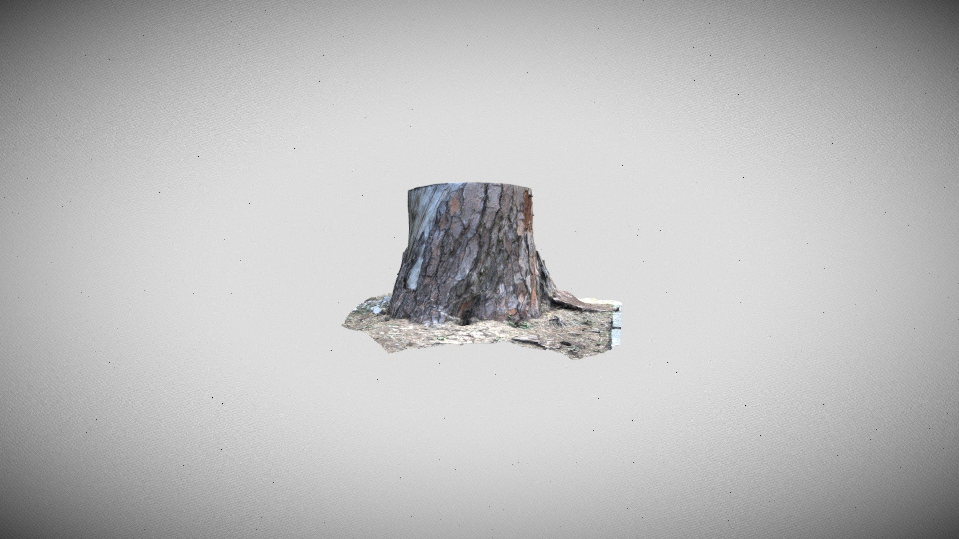 Tree Trunk - 3D model by Digital Heritage - Jacopo Conti (@Digital ...