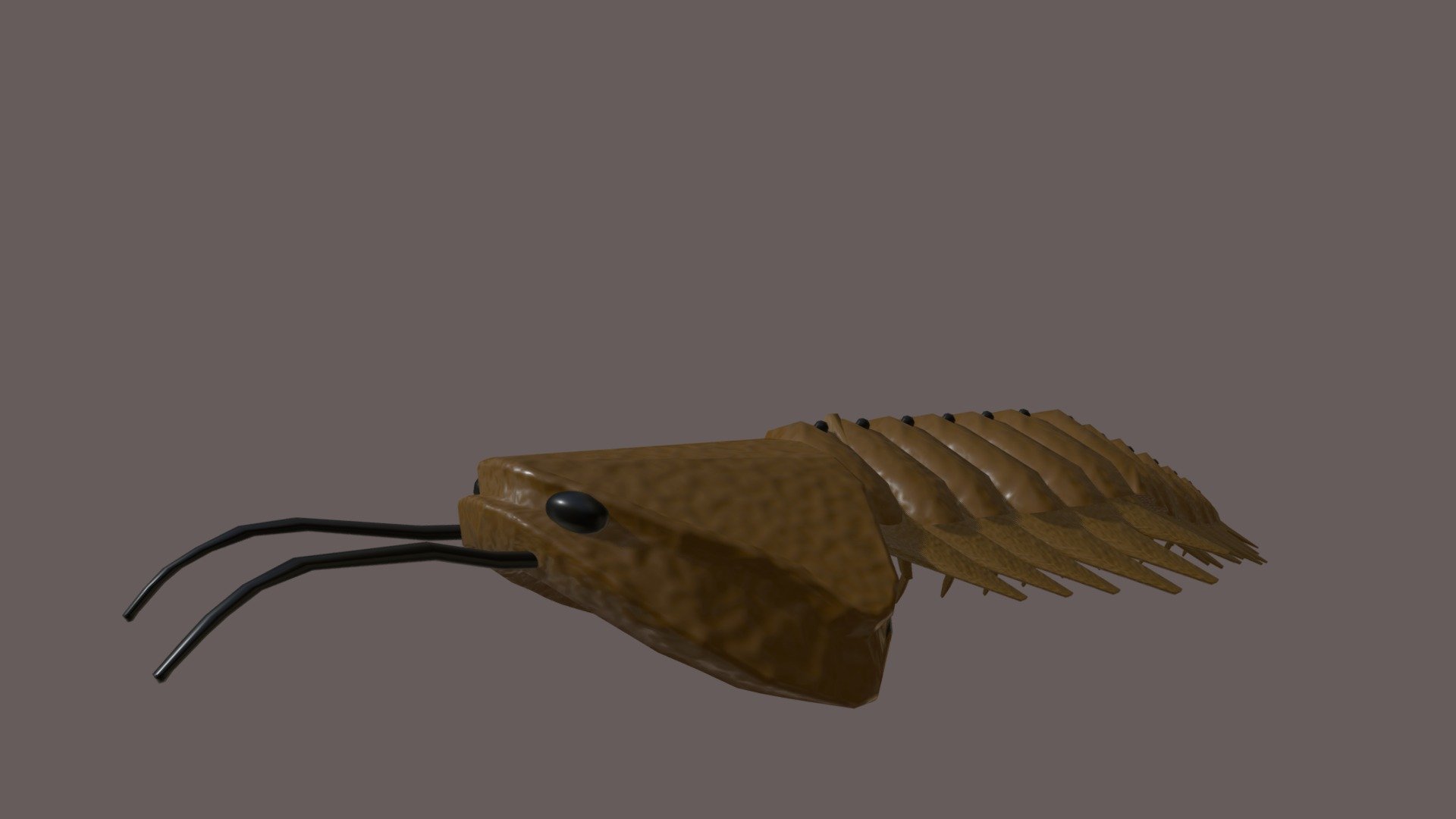 Trilobite - 3D model by bcarranza-argueto [301d32d] - Sketchfab