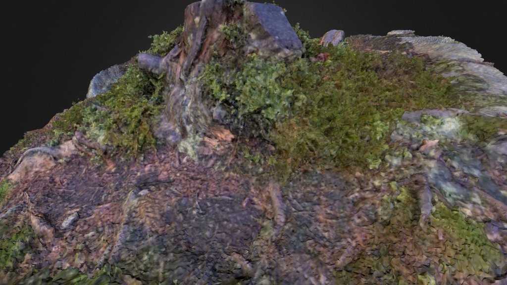 Photogrammetry - A 3D model collection by kongle (@minecraftnorge ...