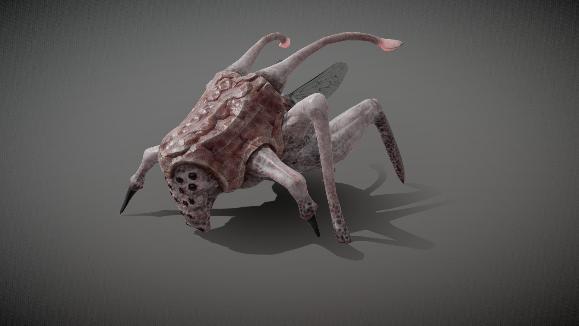 Space Bug - 3D model by Nehon [303f9bb] - Sketchfab