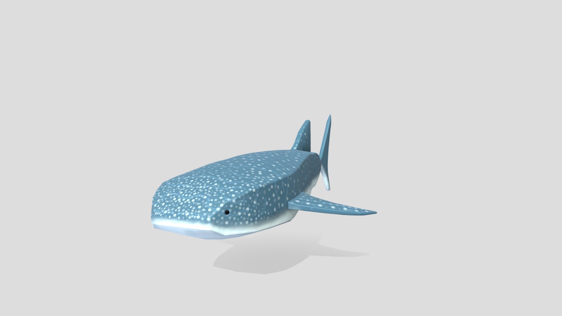 Whale Shark - 3D model by tori1243 [30400d2] - Sketchfab