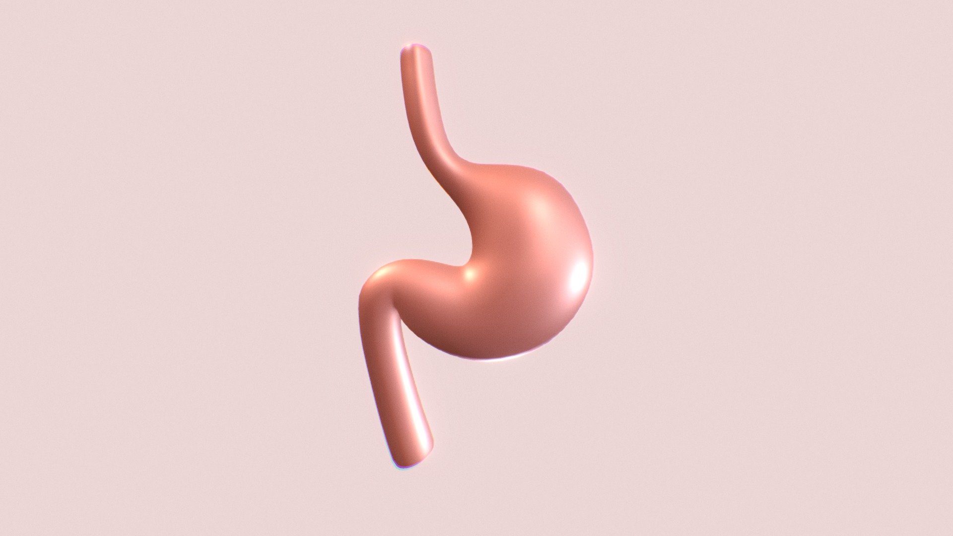 Stomach (estomago) FREE - Download Free 3D model by Enrique Poppe (@depa_96) [3044276] - Sketchfab