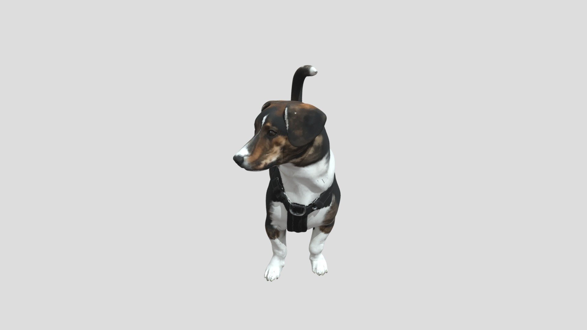 Roffe - 3D model by CiOT83 [3045580] - Sketchfab