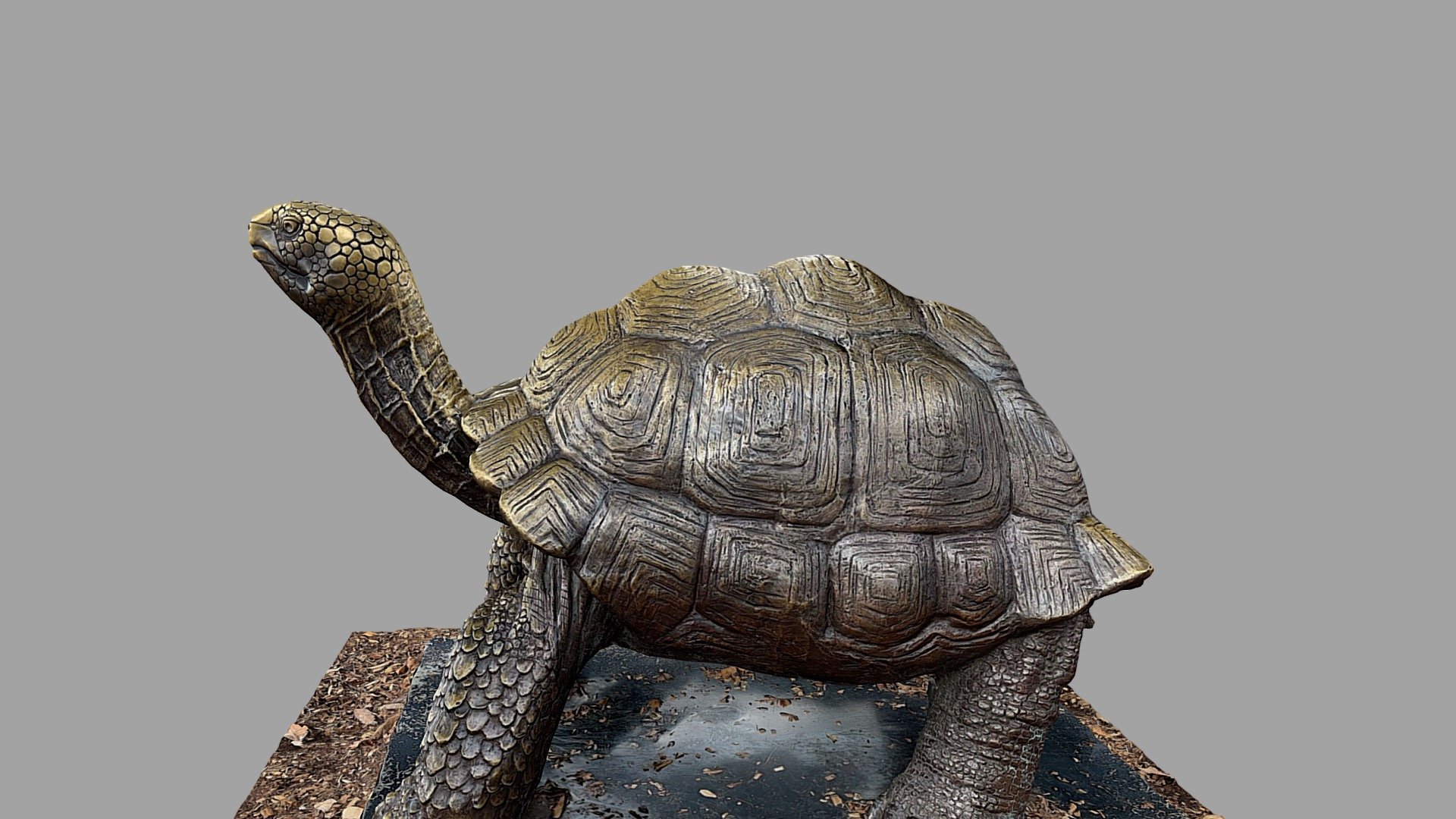 Tortoise - Download Free 3D model by Andrei Alexandrescu (@Andrei ...