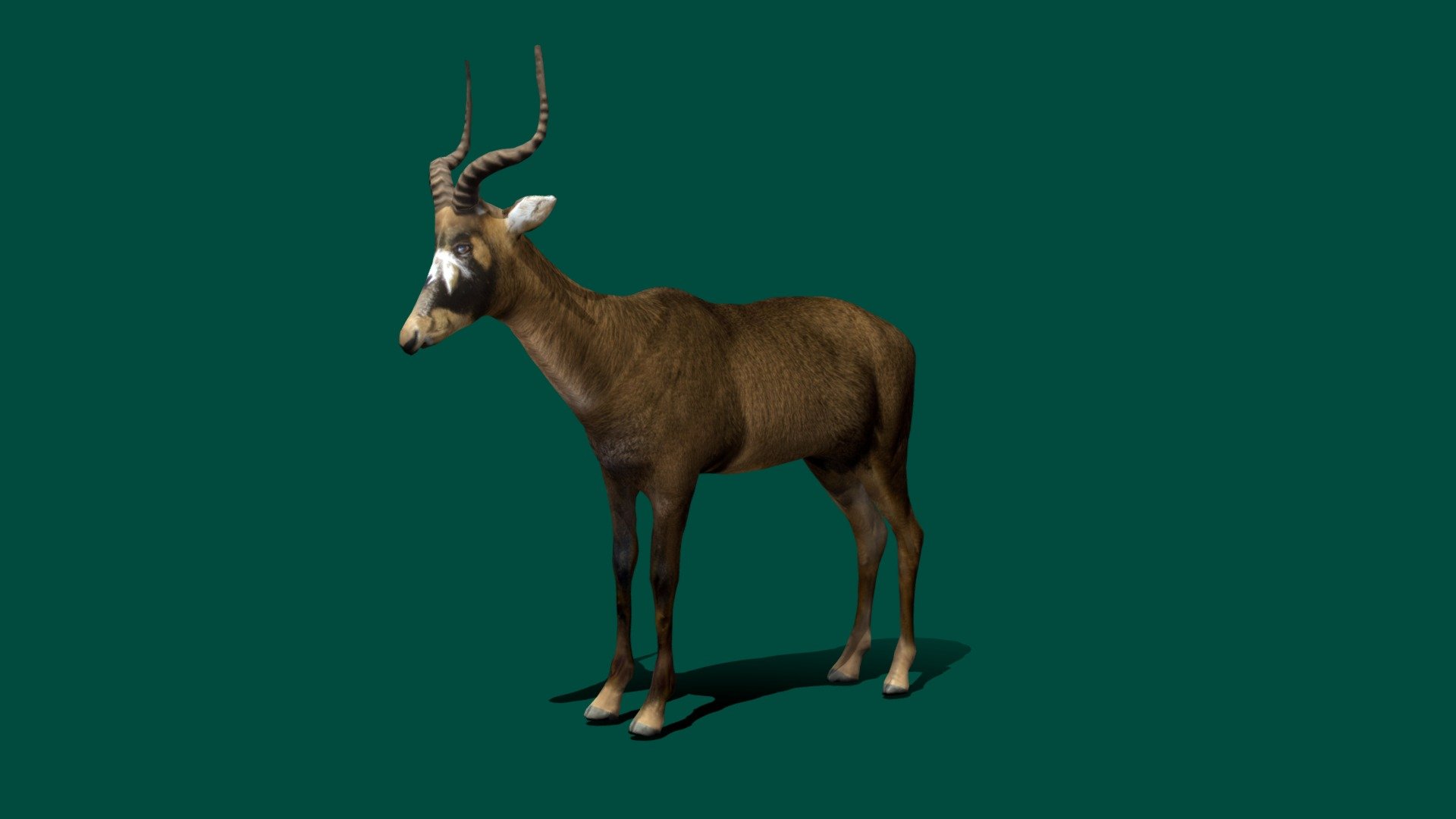 Sable Antelope (Low Poly) - Download Free 3D model by Nyilonelycompany ...