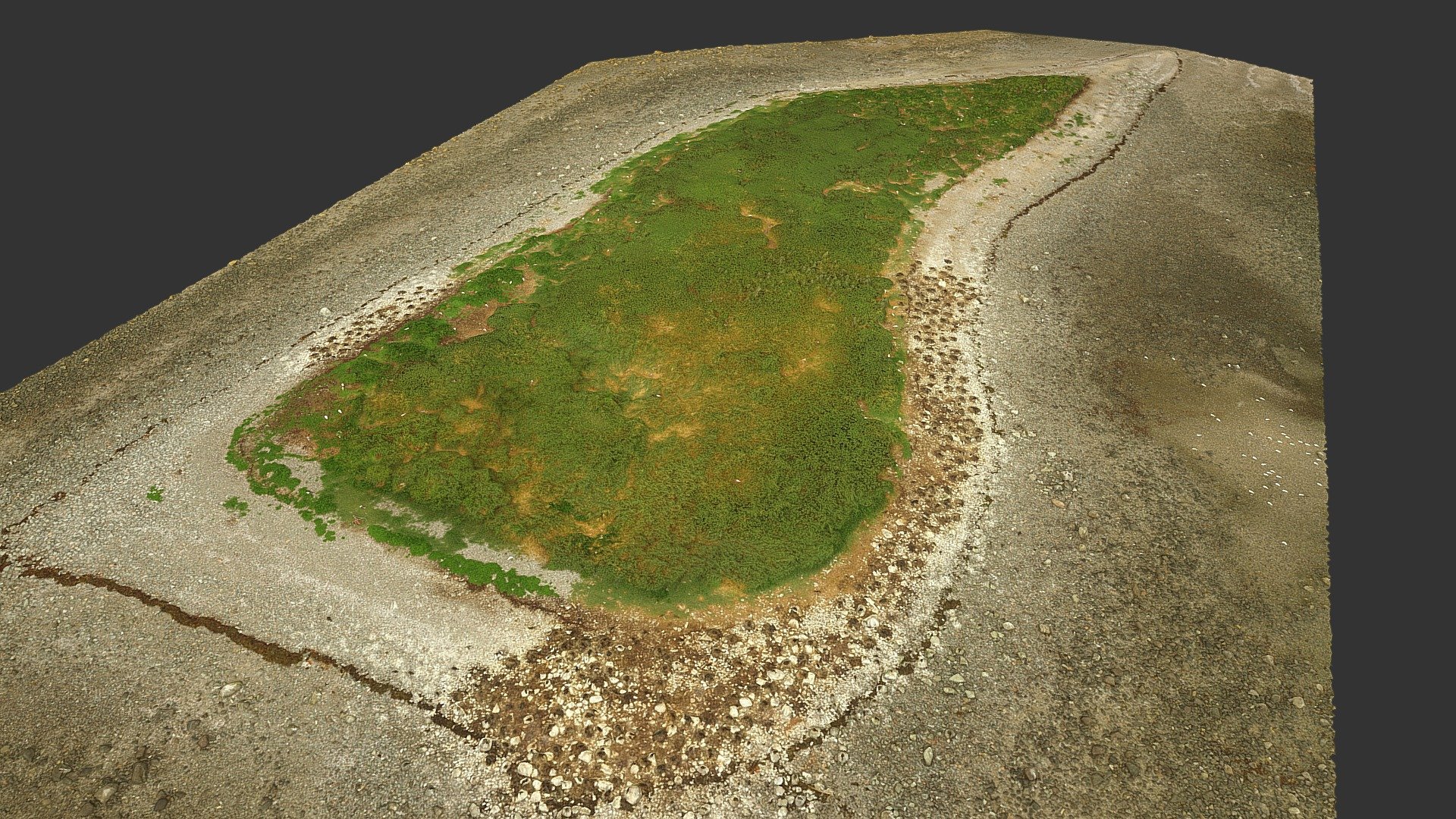 Bird Island, Strangford Lough - 3D model by HeritageNI.com (@heritageNI ...