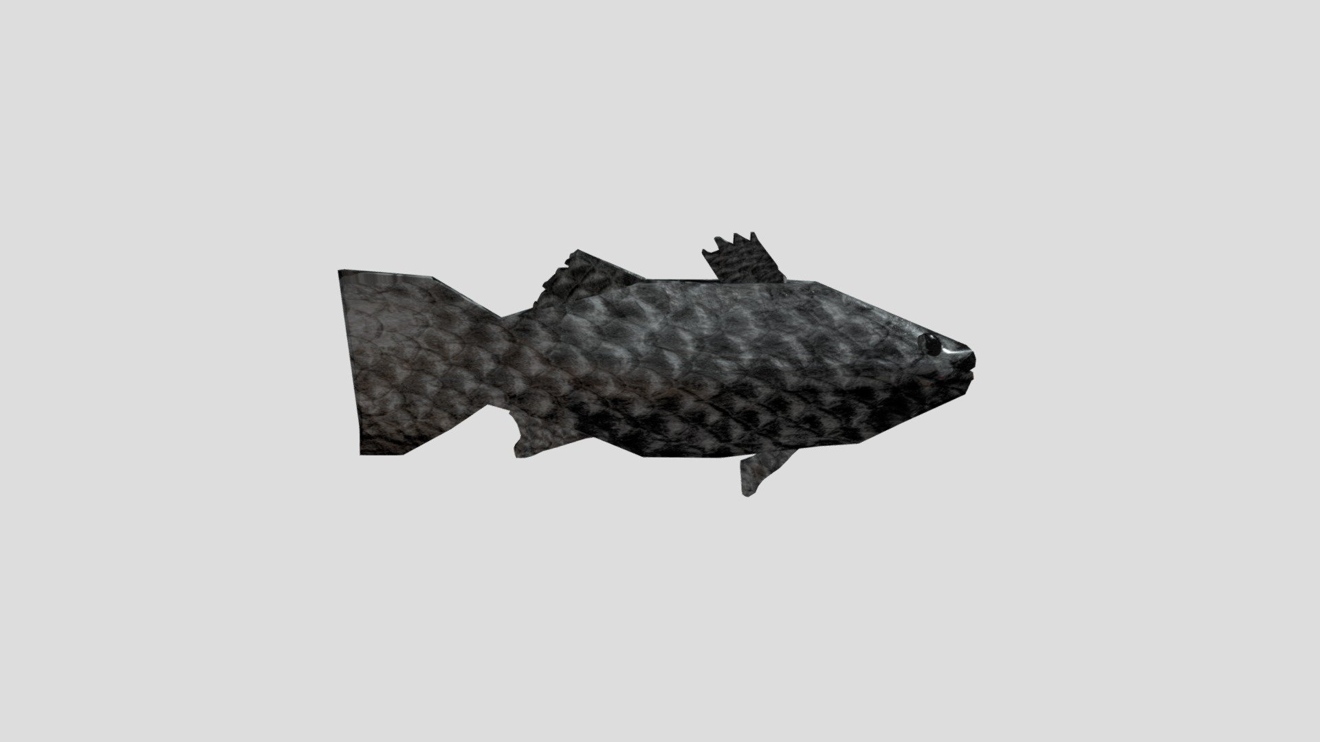 Fish - 3D model by samnorwoodgo [304fbff] - Sketchfab