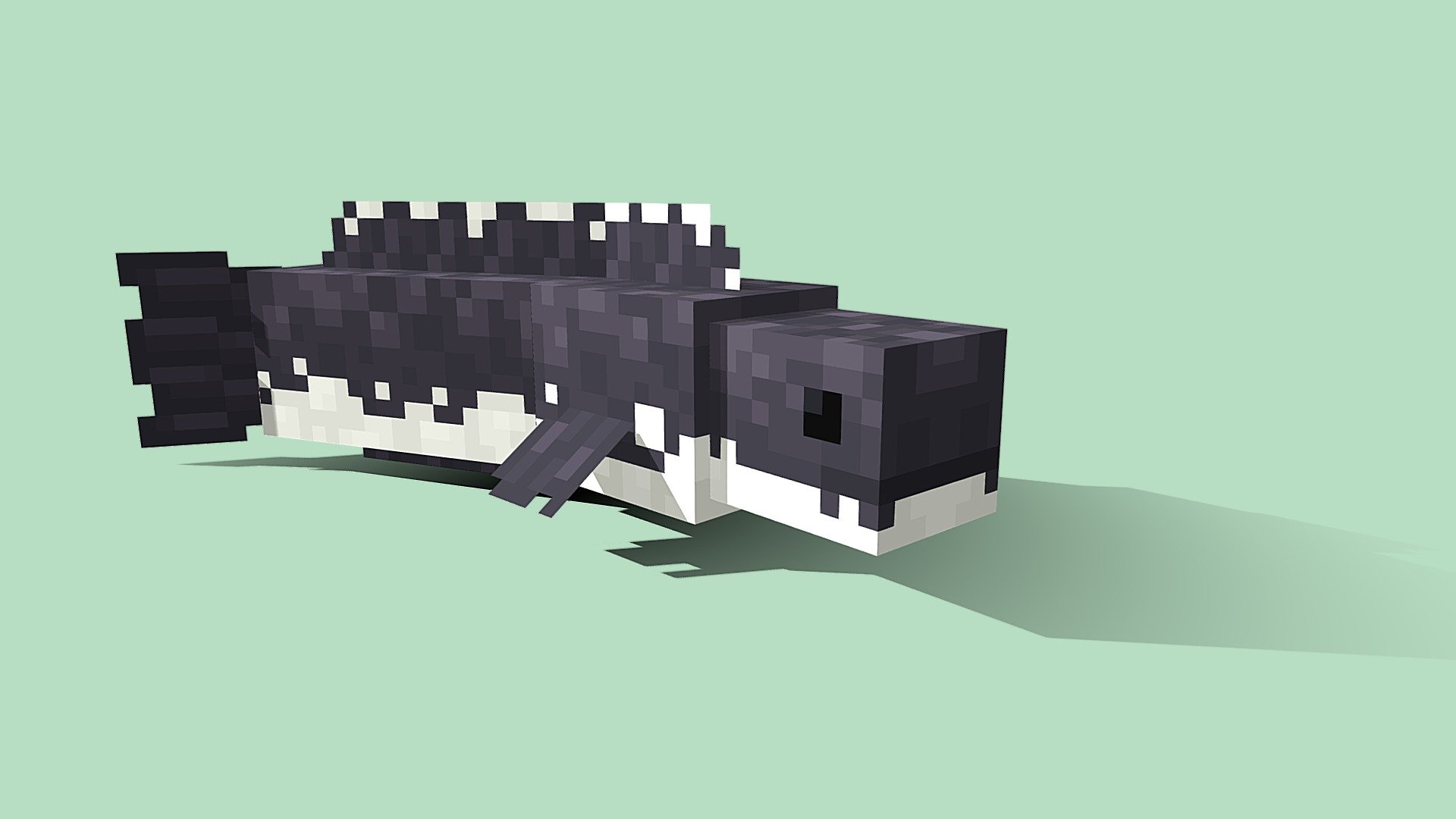 Channa micropeltes ( Toman Harimau) - 3D model by Faris (@farispramudia ...