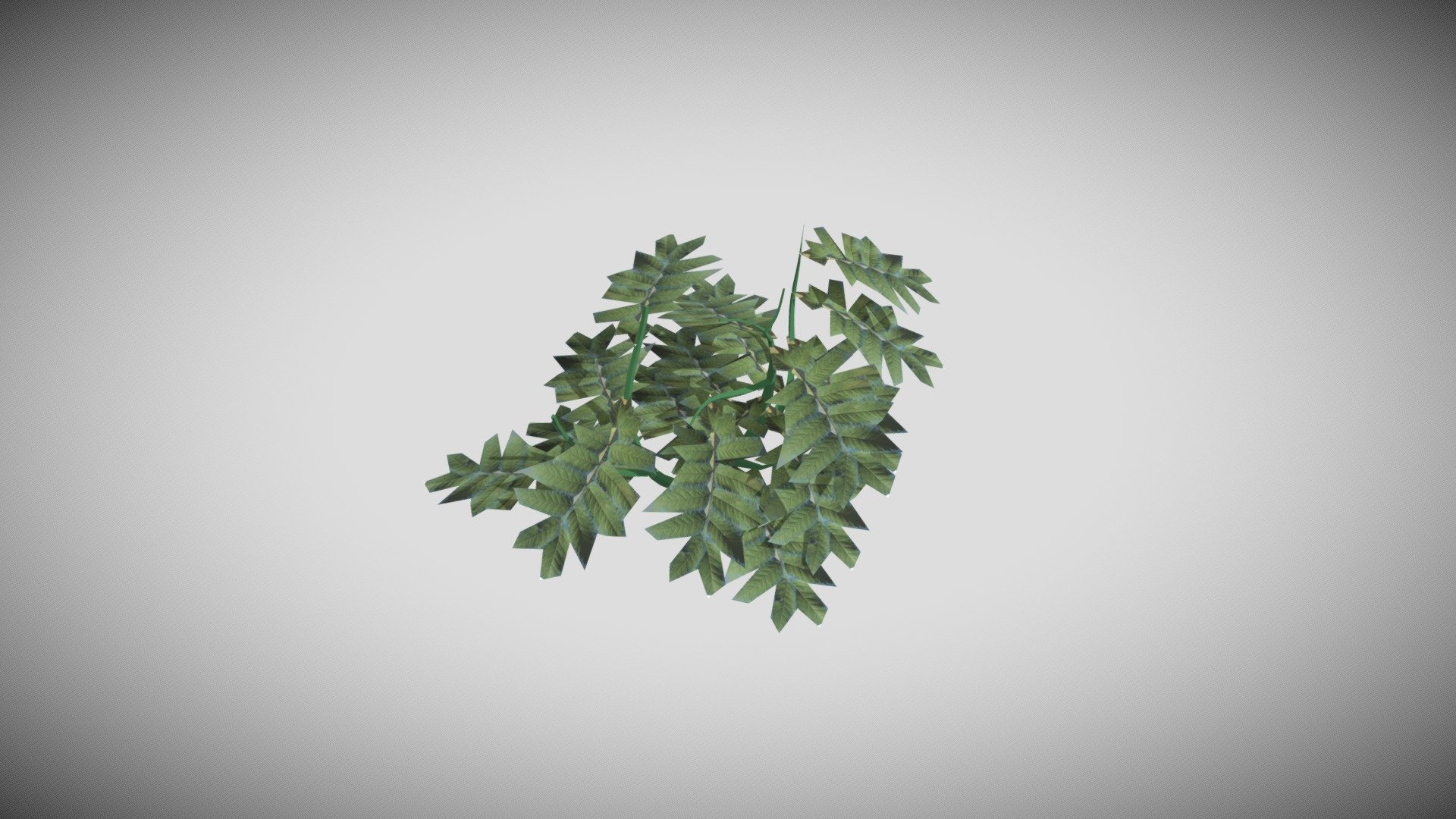 Plant - Download Free 3D model by FEI19_Fo.OX [3053fa2] - Sketchfab